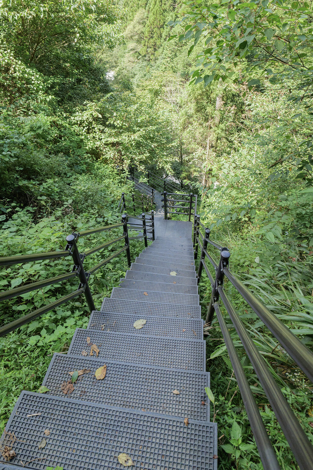 “仁淀ブルー”といえばここ「にこ淵」に行ってきました - かぼてん日記